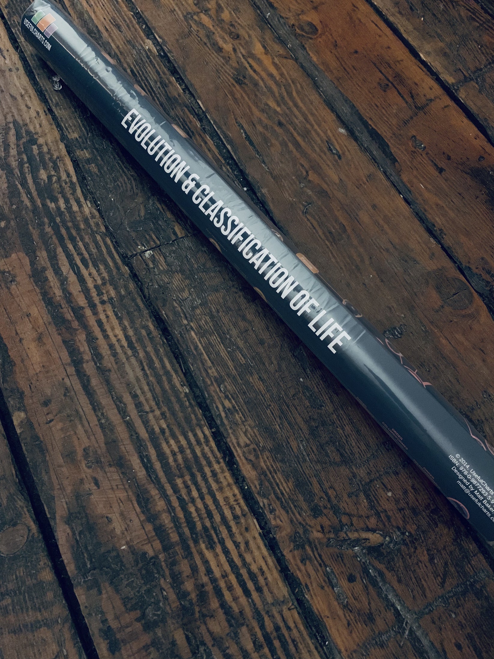 Evolution & Classification of Life Poster – UsefulCharts