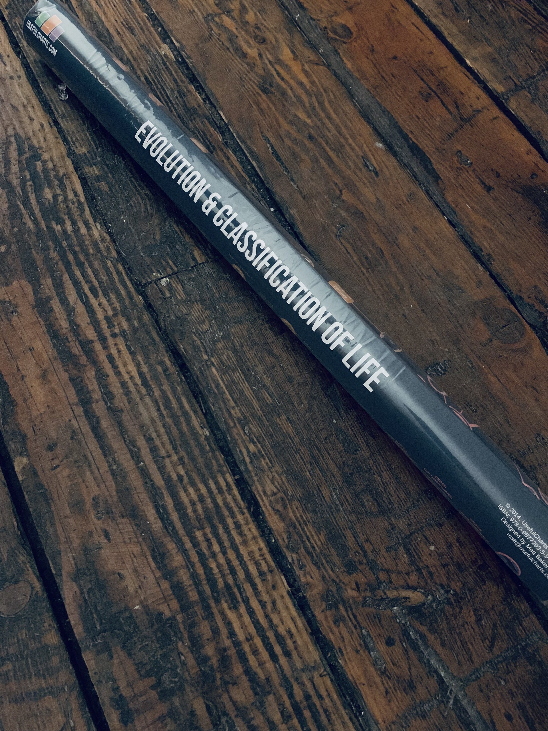 Evolution & Classification of Life Poster – UsefulCharts