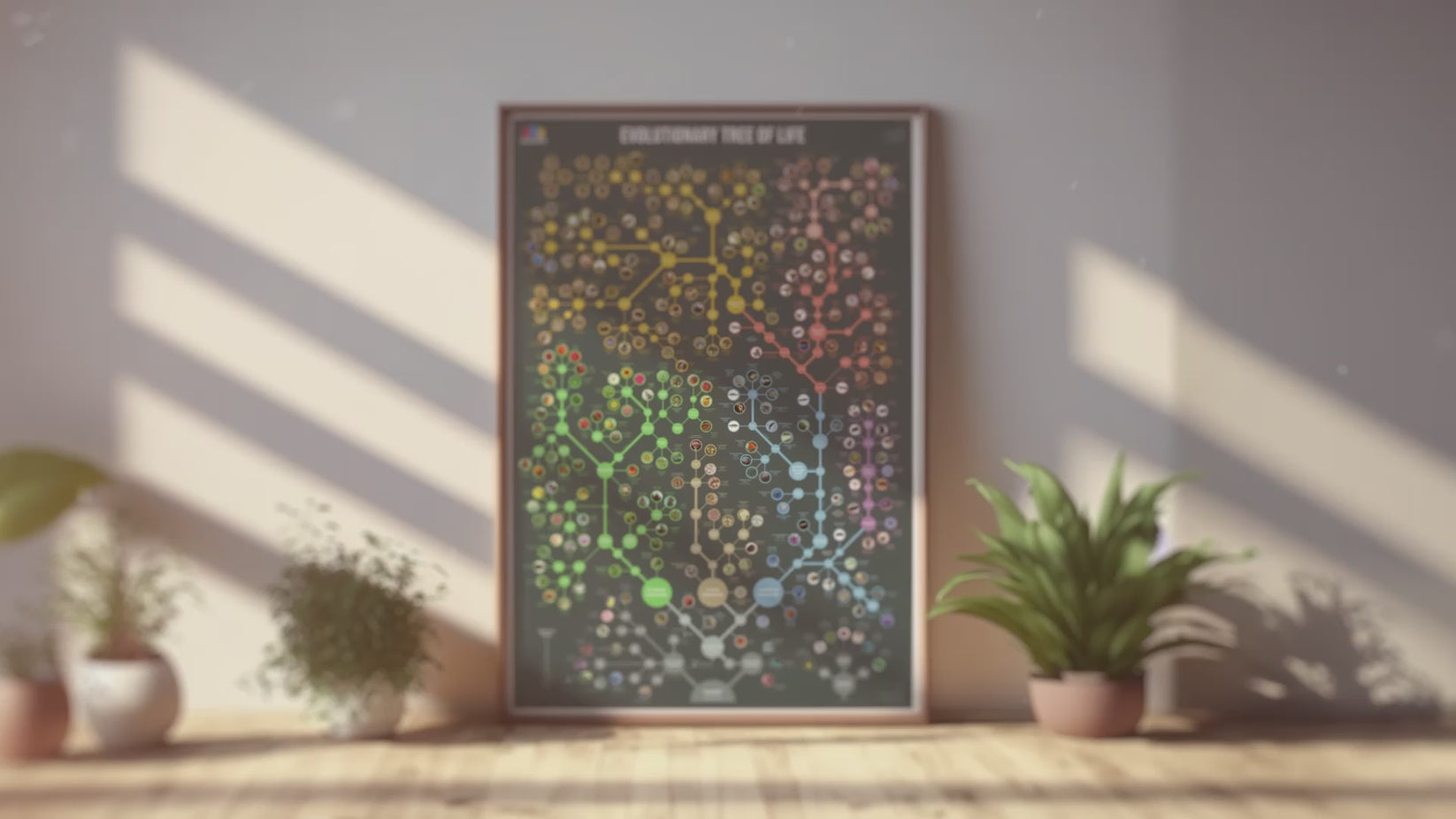 Evolutionary Tree of Life Poster – UsefulCharts