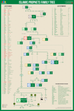 Islamic Prophets Family Tree Poster – UsefulCharts